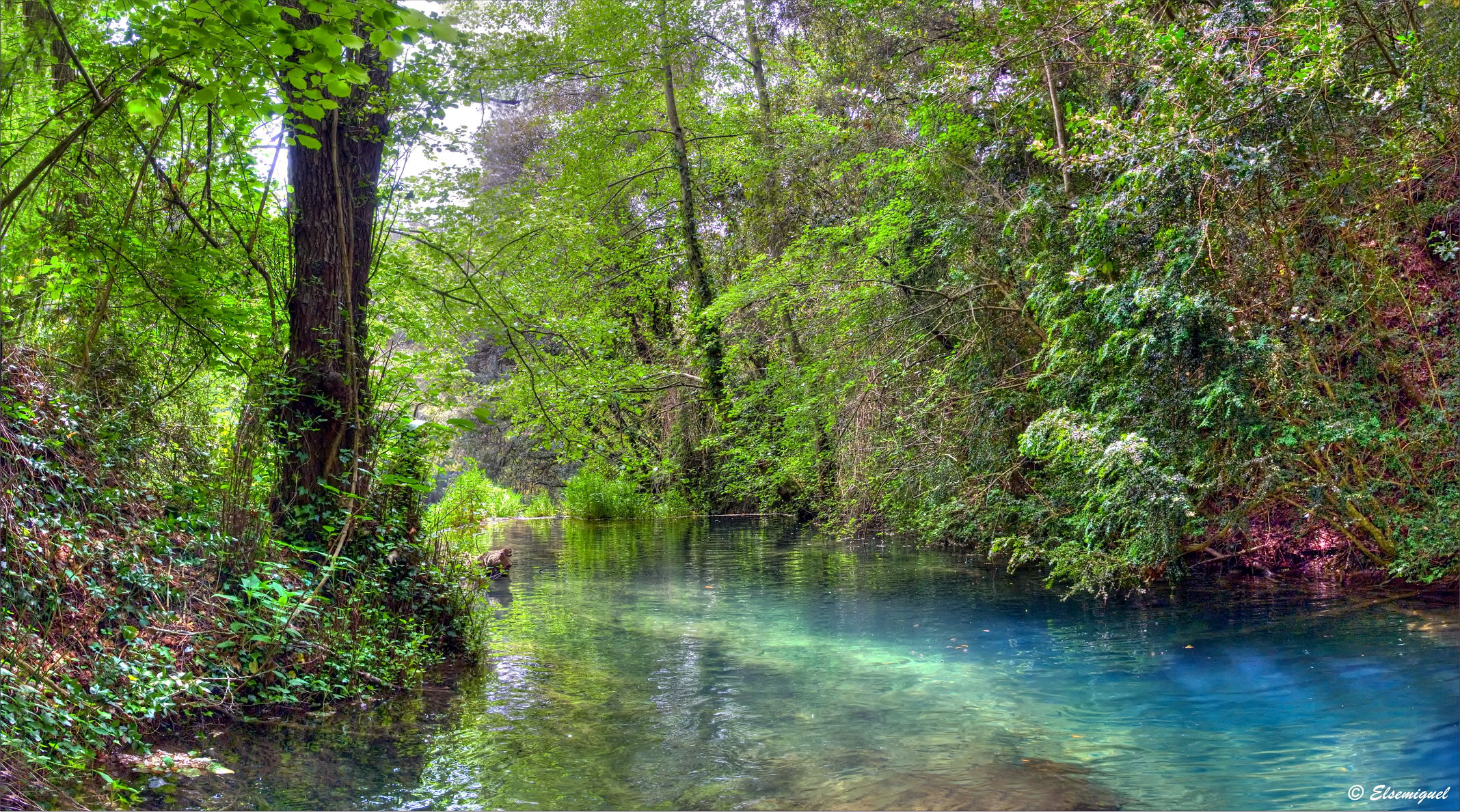 Gorg del Molí dels Murris, la cascada secreta de La Garrotxa