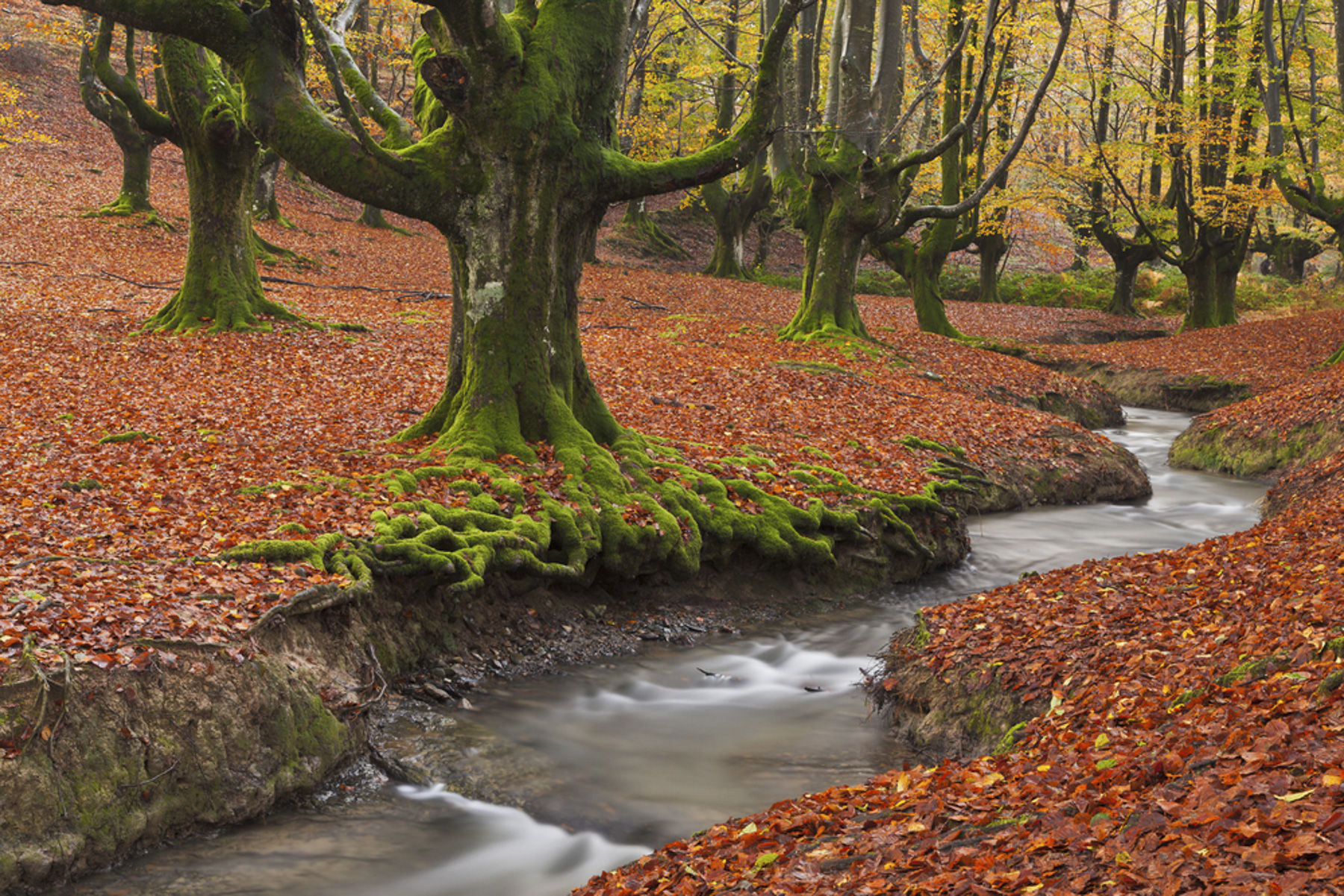 15 fotos para desear ir al Gorbea