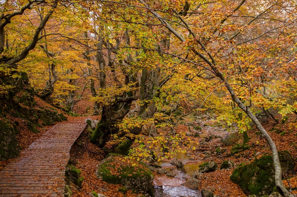 Planes para una escapada rural en otoño en León - Blog de viajes