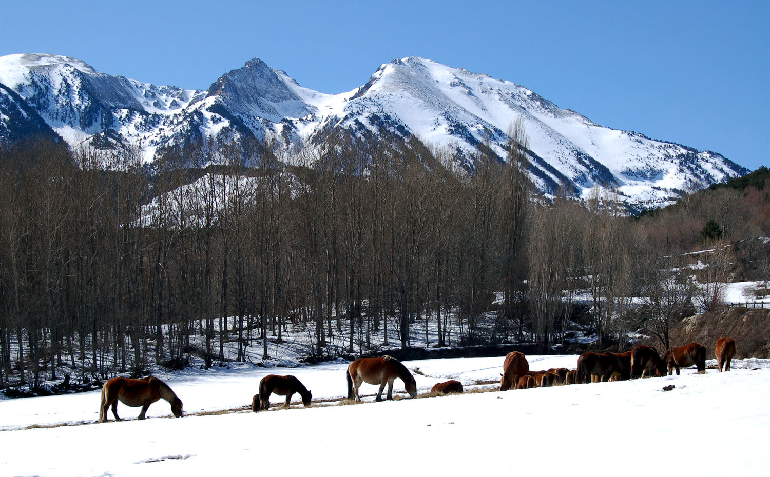 MónNatura Pirineus, el contacto con la naturaleza