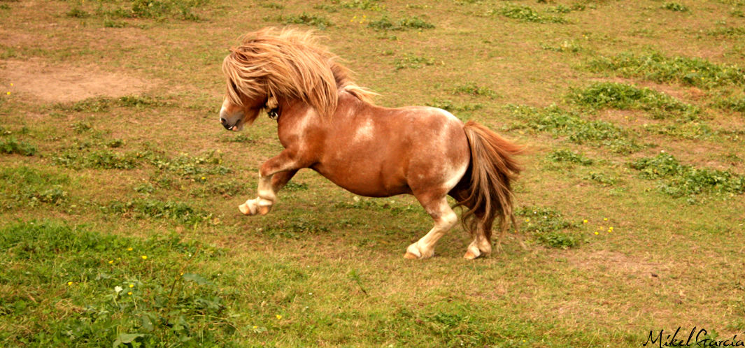 El Parque Natural de Pagoeta