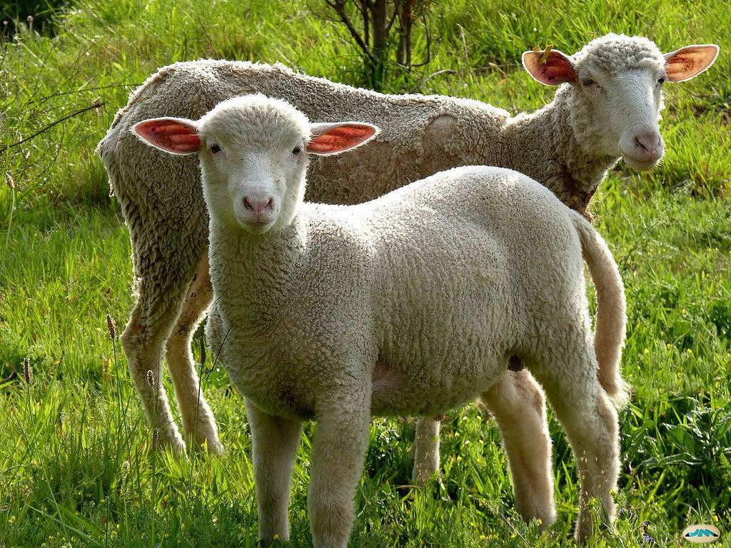 Blog de turismo rural, casas rurales para tus escapadas - Página 141