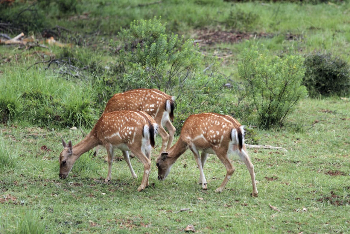 10 fotos para decidirte a visitar Cazorla