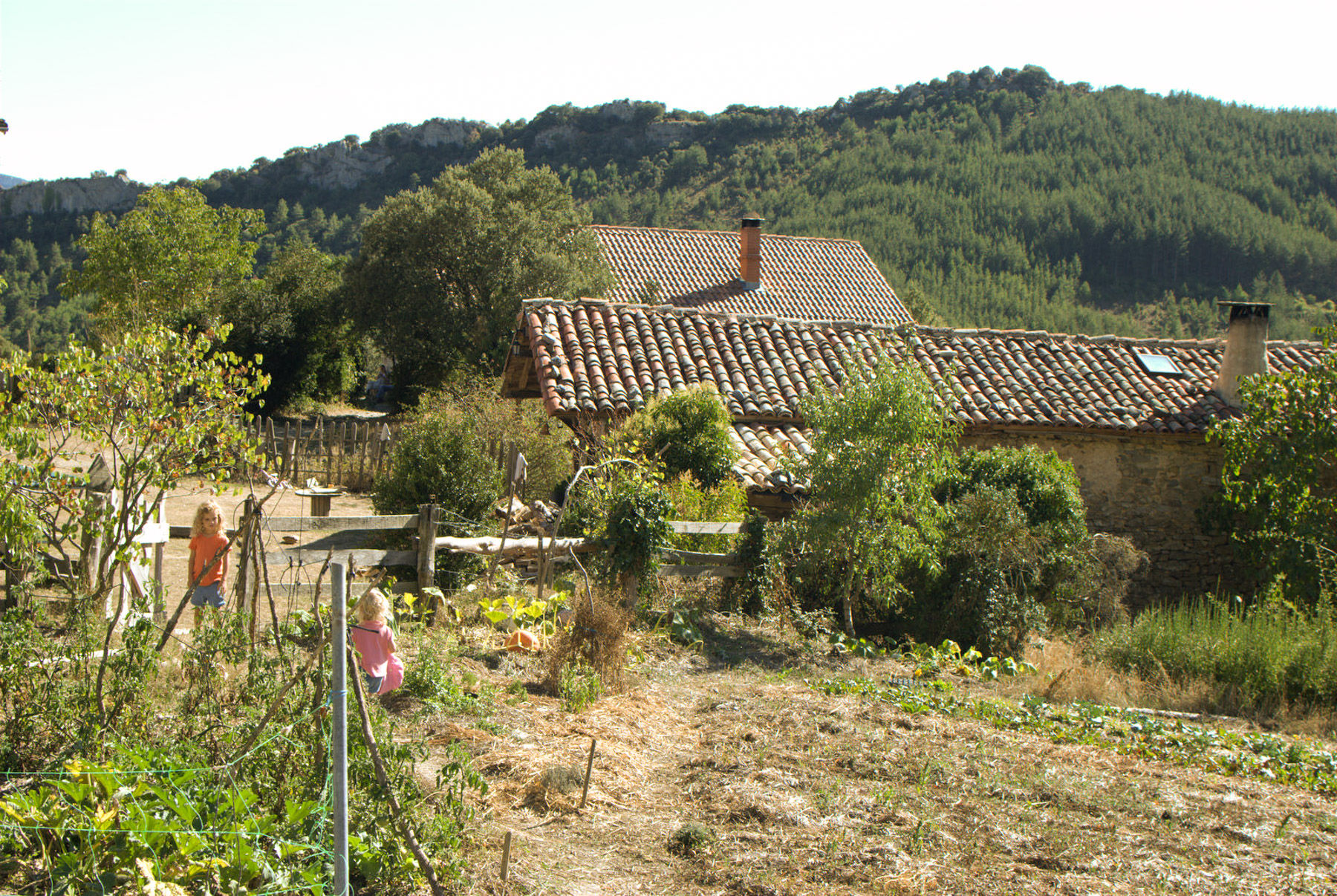 Me voy a vivir a una ecoaldea