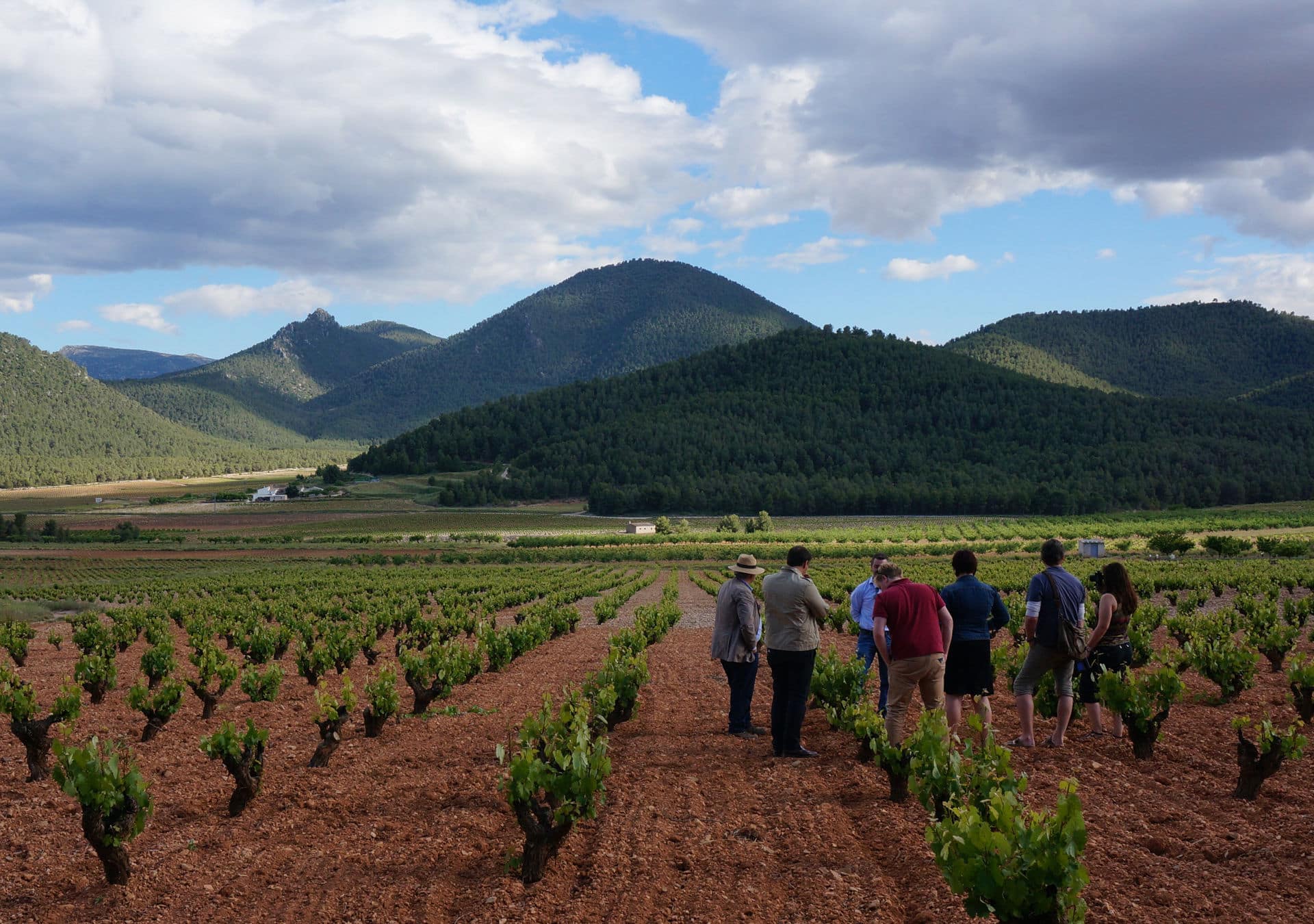 Las tres rutas del vino de la Región de Murcia
