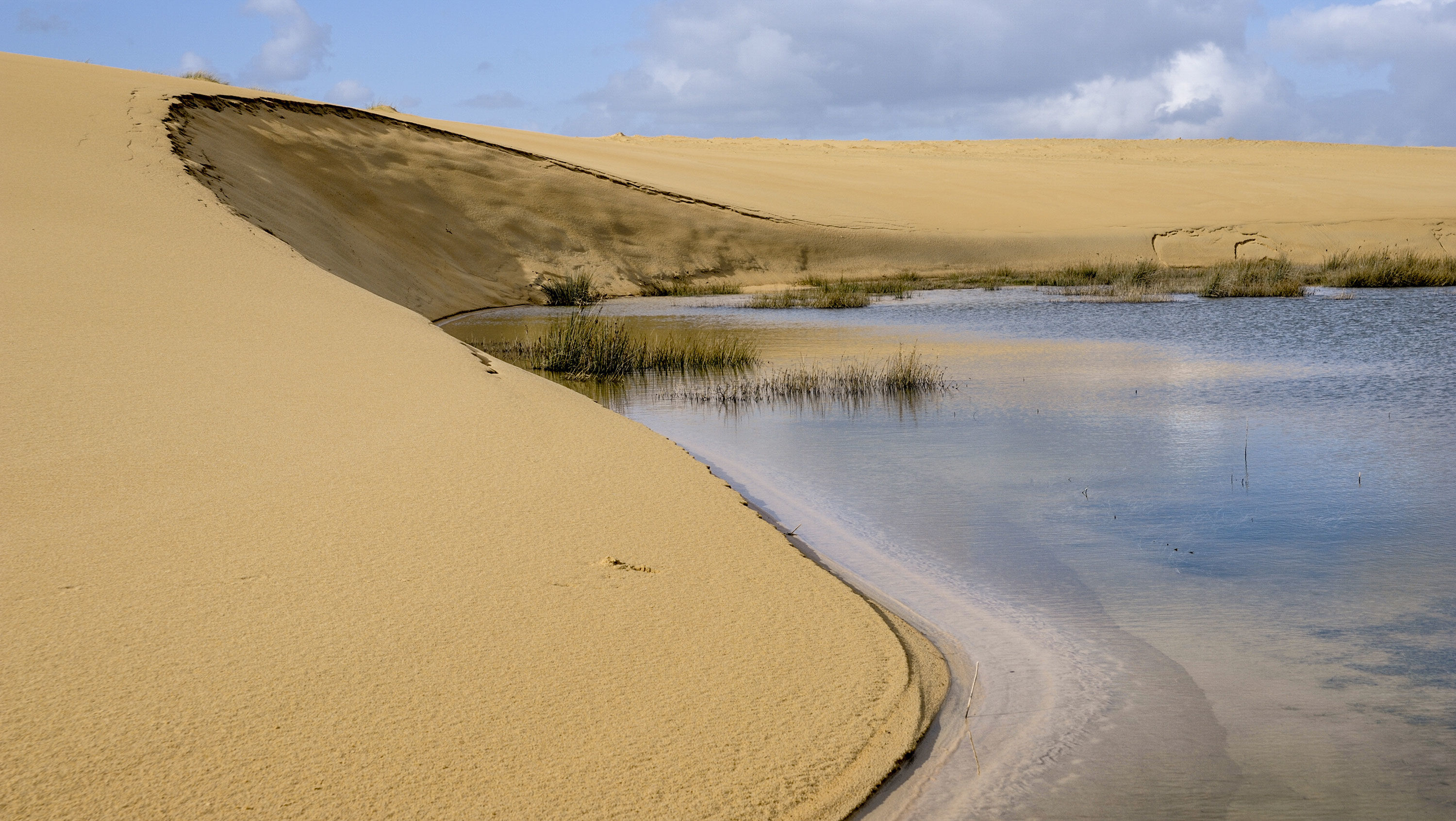 Mar y desierto en el Parque Natural de las Dunas de Corrubedo