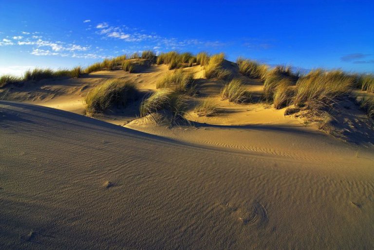 7 Paisajes de dunas espectaculares en España