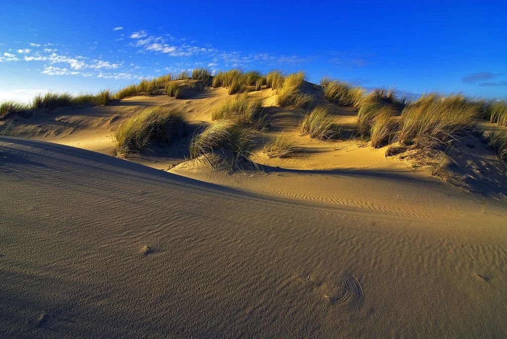 7 paisajes de dunas espectaculares en España - EscapadaRural
