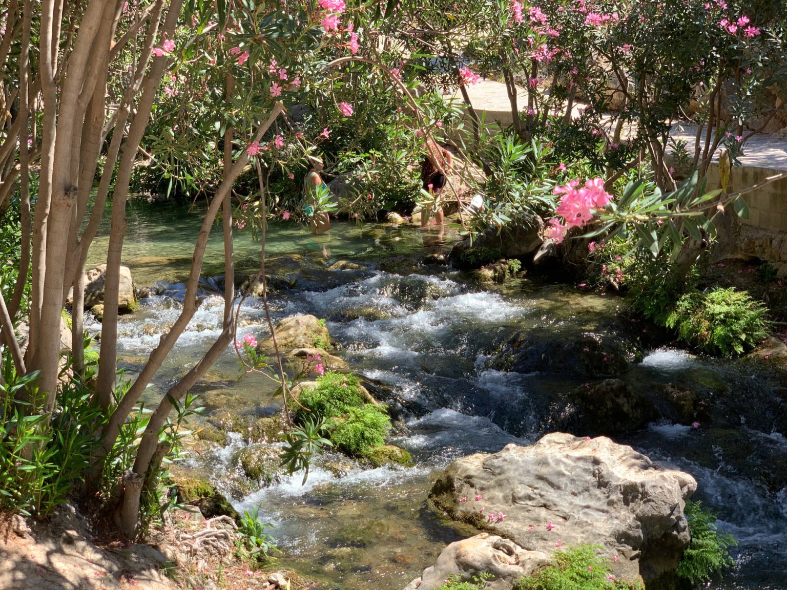Fuentes del Algar: cuándo ir, cómo llegar y cuánto cuesta