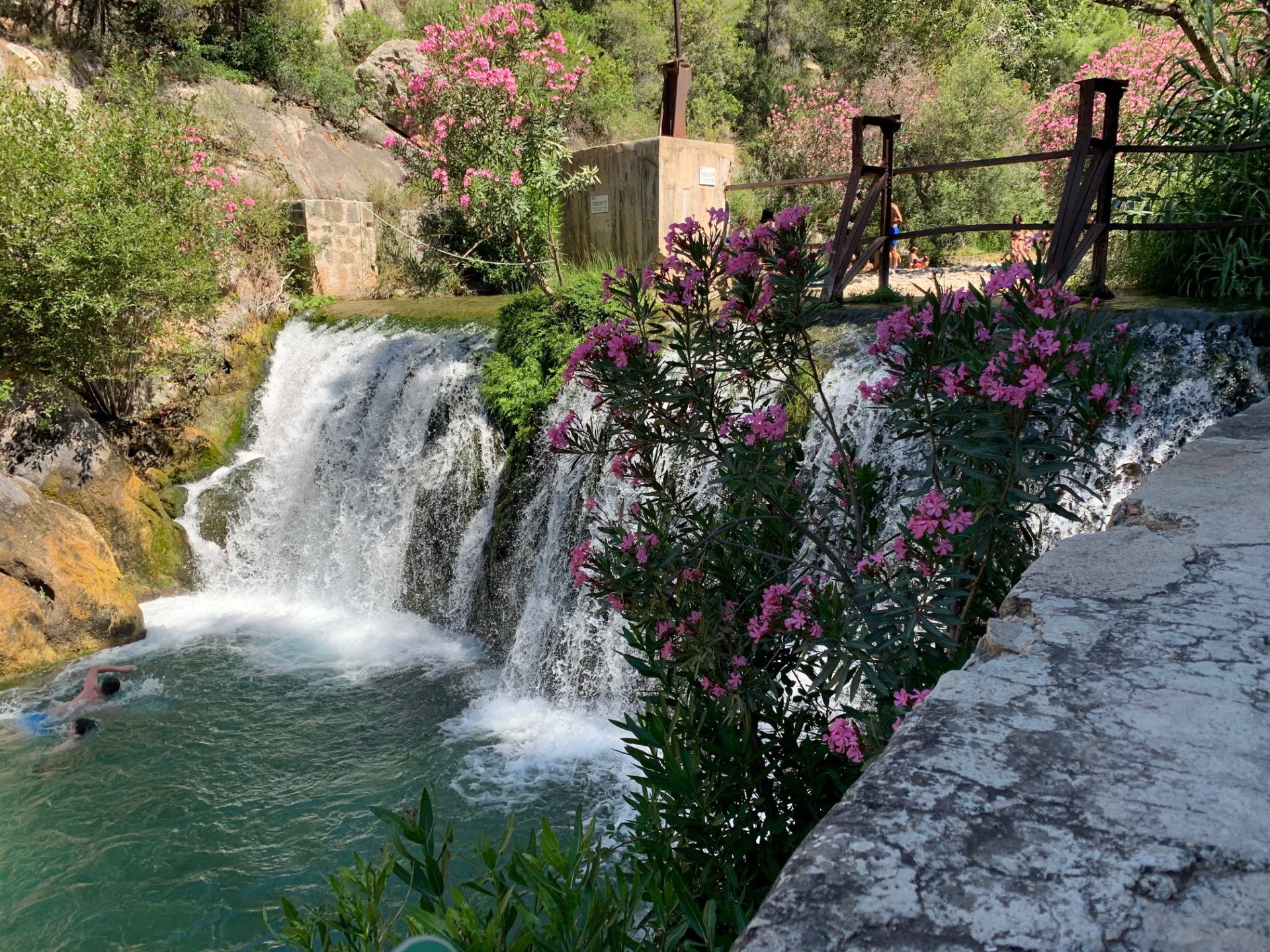 Fuentes del Algar: cuándo ir, cómo llegar y cuánto cuesta