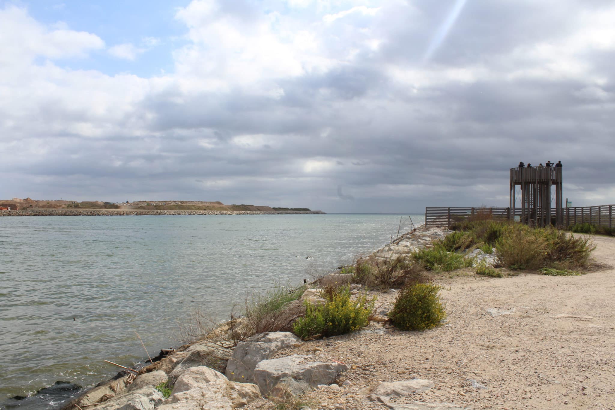 Delta del Llobregat, paraíso natural al lado de Barcelona