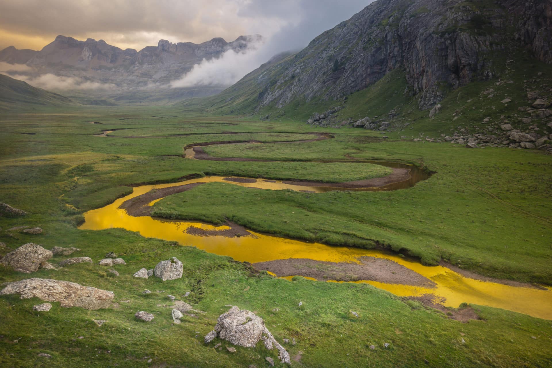 10 imágenes para enamorarse de la Selva de Oza
