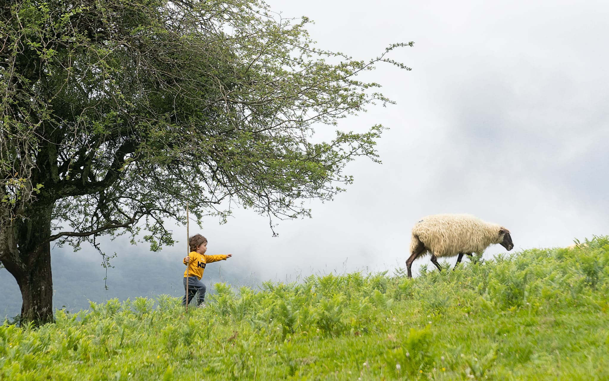 Todos necesitamos el mundo rural, el potente mensaje de FotoRural 2020