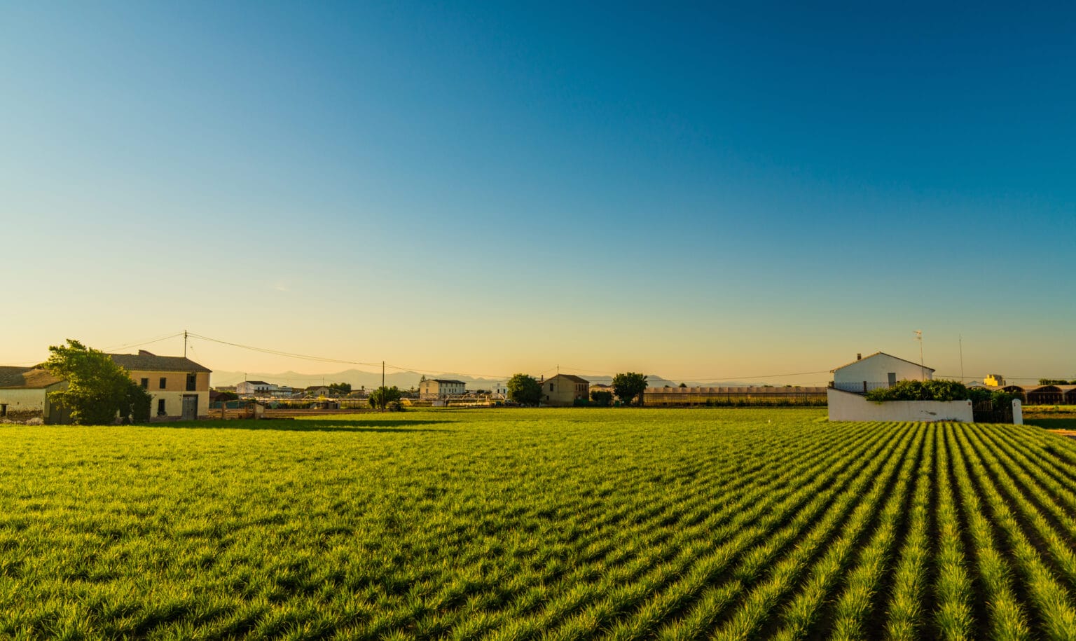 Planes para recorrer los pueblos de la Huerta de Valencia