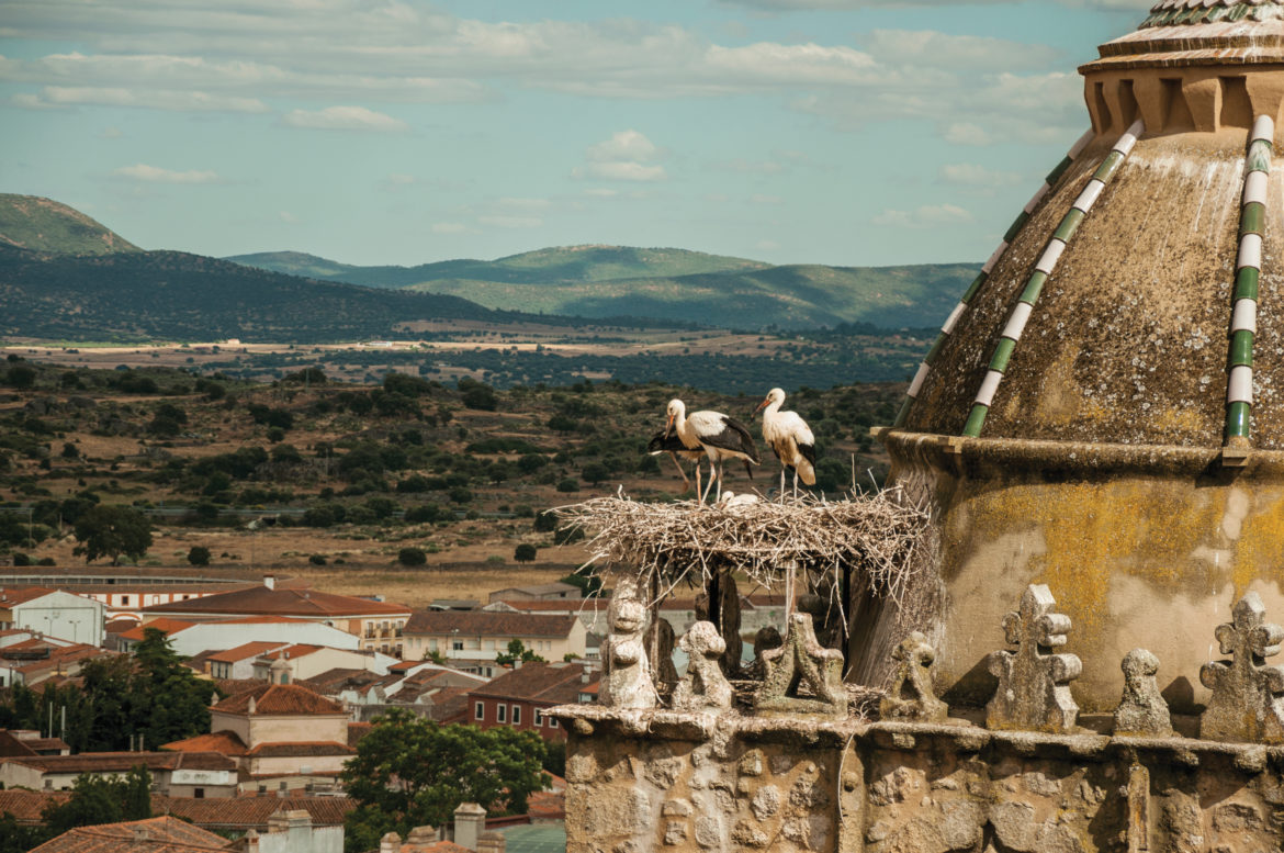 10 imprescindibles para desear visitar Cáceres en cualquier época del año