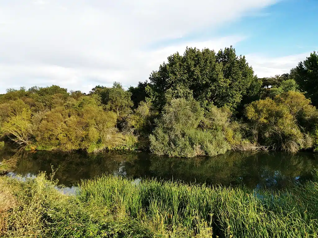 4 rutas por El Pardo junto a lagunas y el río Manzanares