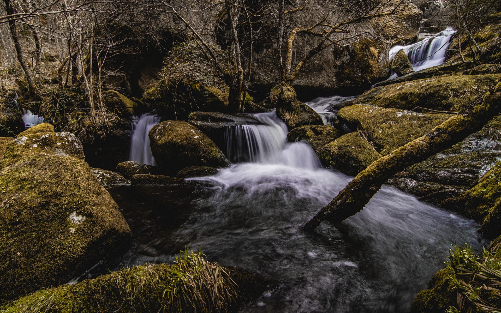 Ruta a Cántara da Moura: el bosque de las cascadas infinitas