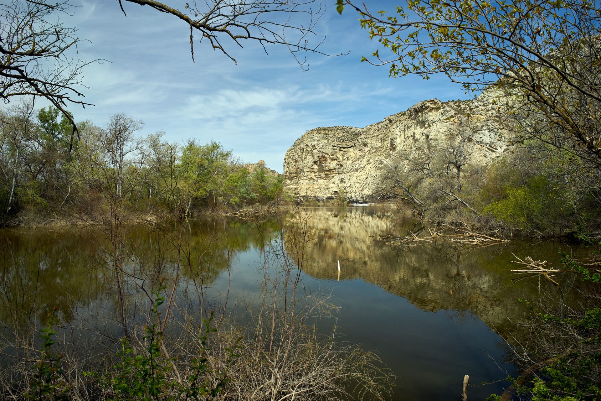 Galacho de Juslibol, los meandros abandonados del Ebro que son cápsulas ...