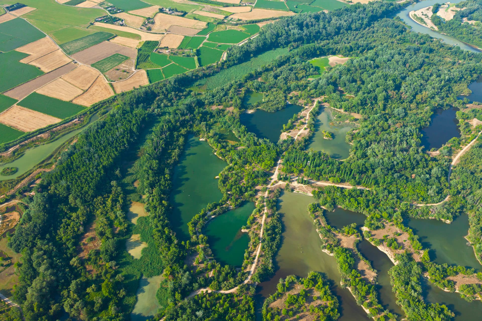 Galacho de Juslibol, los meandros abandonados del Ebro que son cápsulas ...