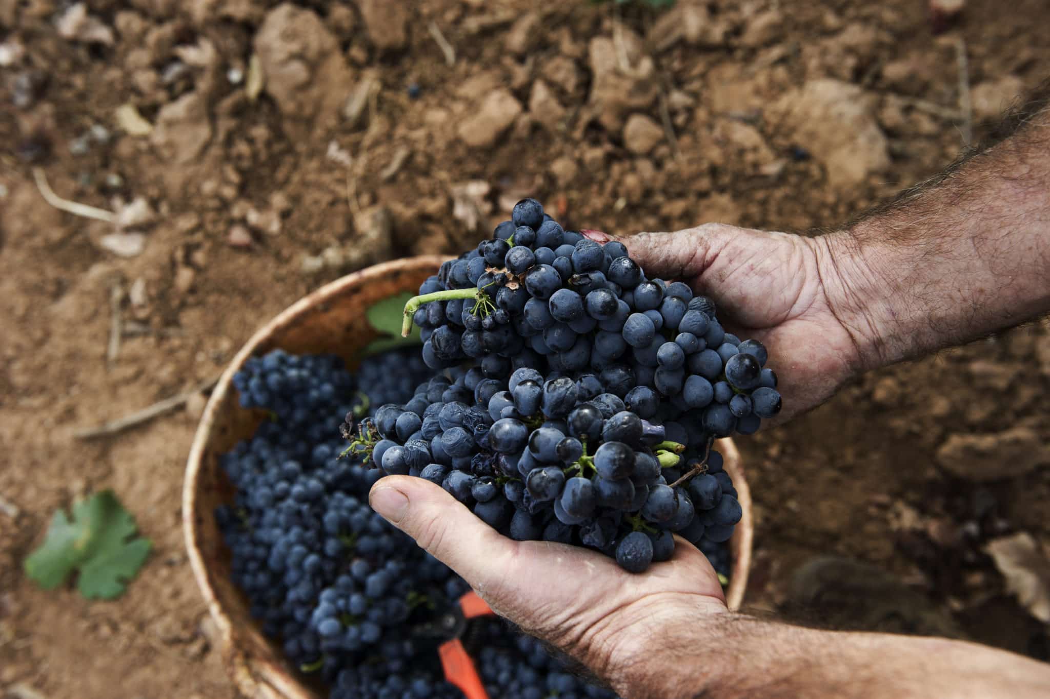 Provincia de Castellón, un territorio privilegiado con una extensa y ...