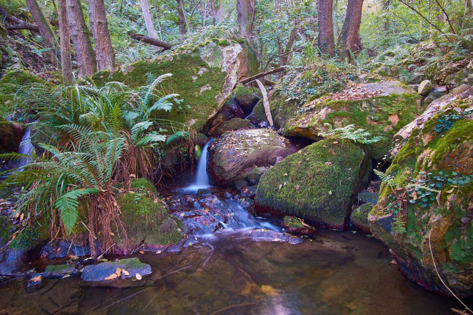 Ruta a las cascadas de Guanga: el tesoro escondido entre la naturaleza ...