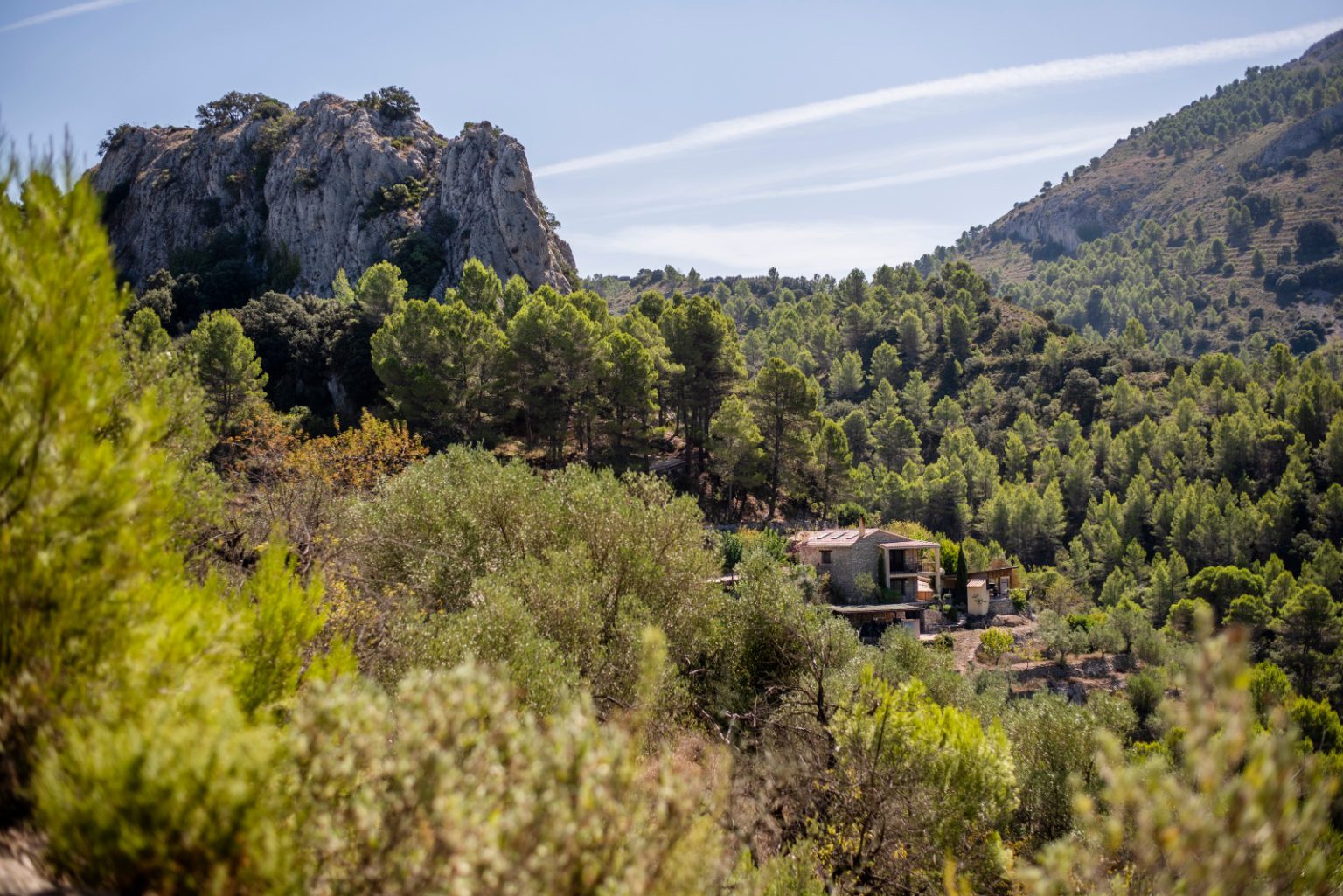 Me voy a vivir a una ecoaldea