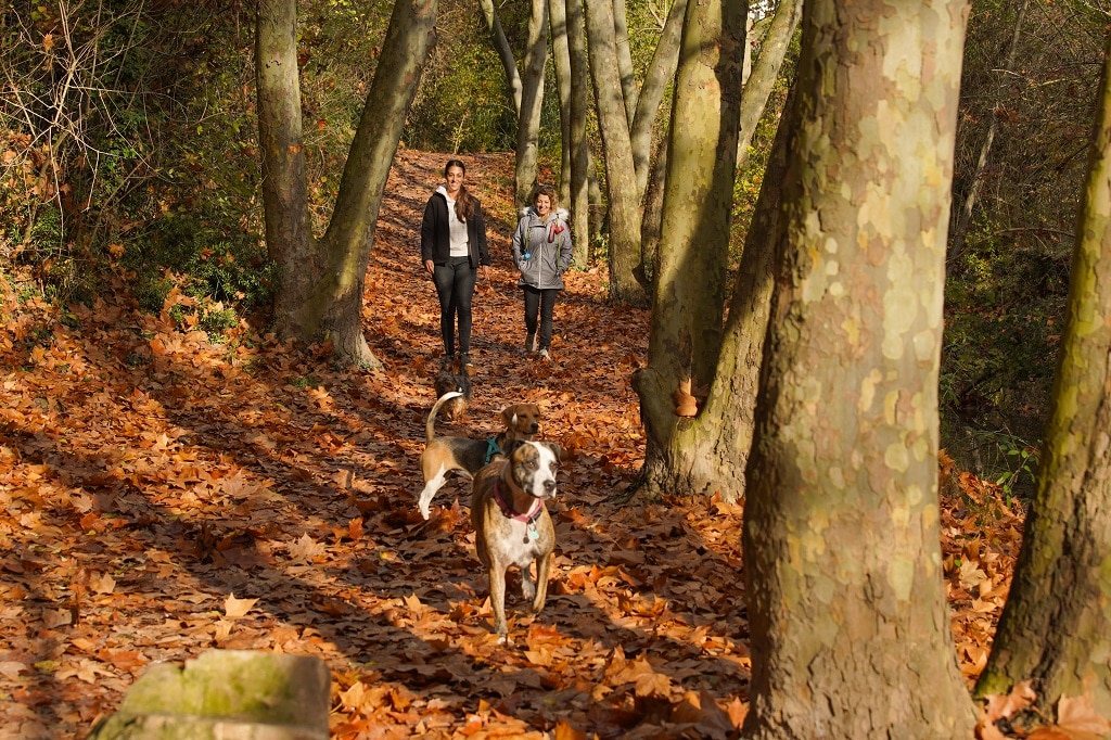 Por qué la Anoia es la comarca perfecta para desconectar