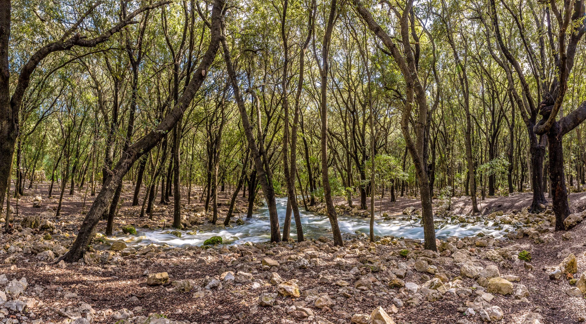 Ses Fonts Ufanes, el fenómeno hidrológico más singular de Mallorca