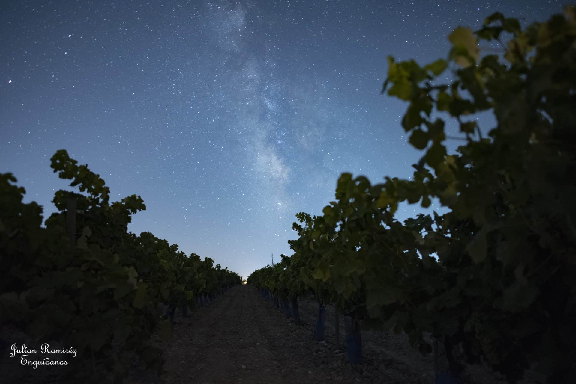 Tierra Bobal: 5 imprescindibles que visitar