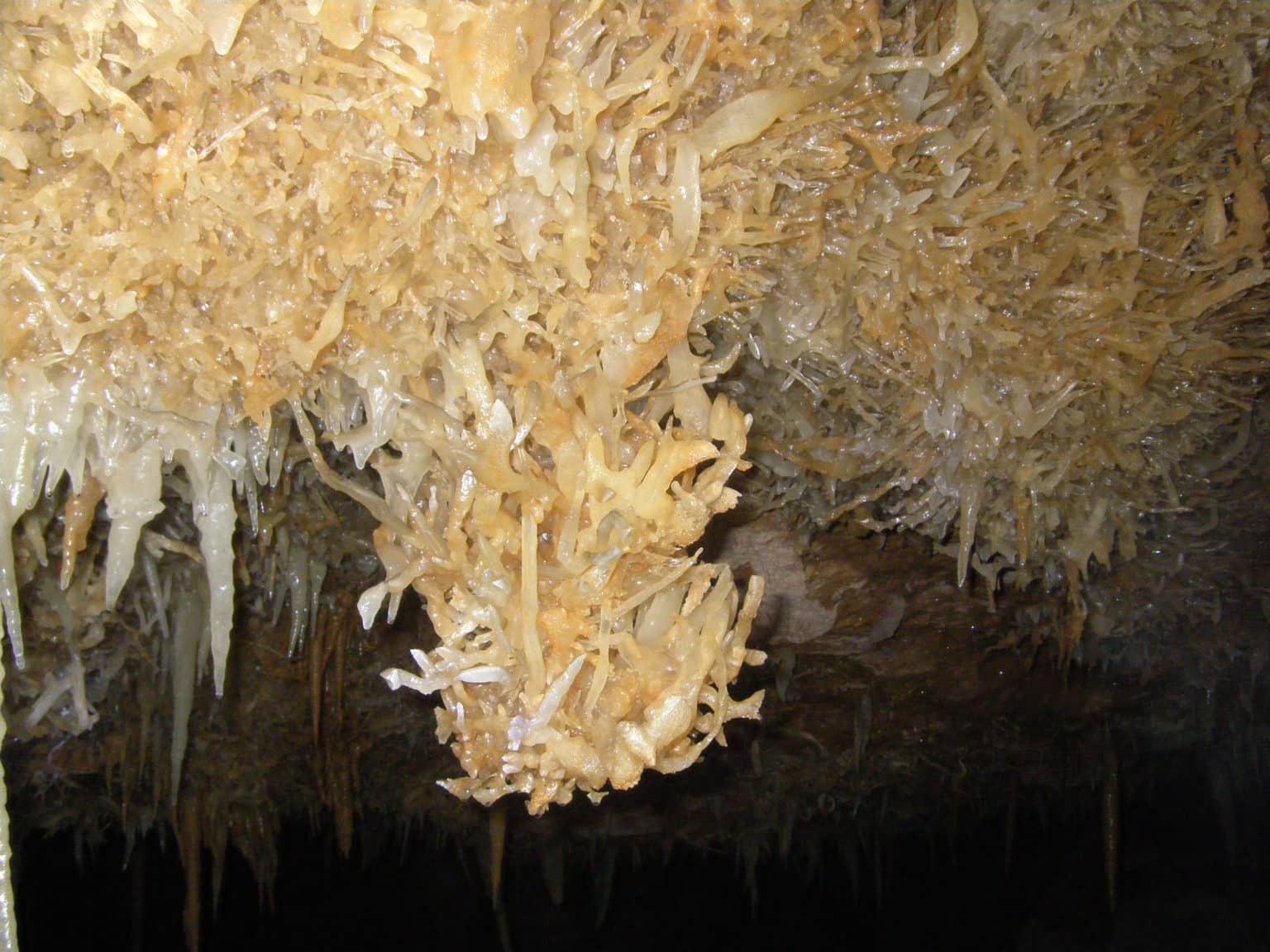 Torca del Carlista, la cámara subterránea más grande de Europa