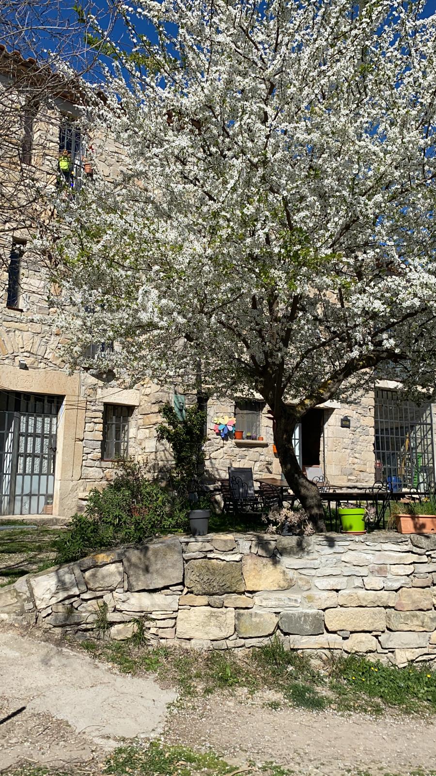 El Fonoll: una aldea abandonada reconvertida en pueblo naturista