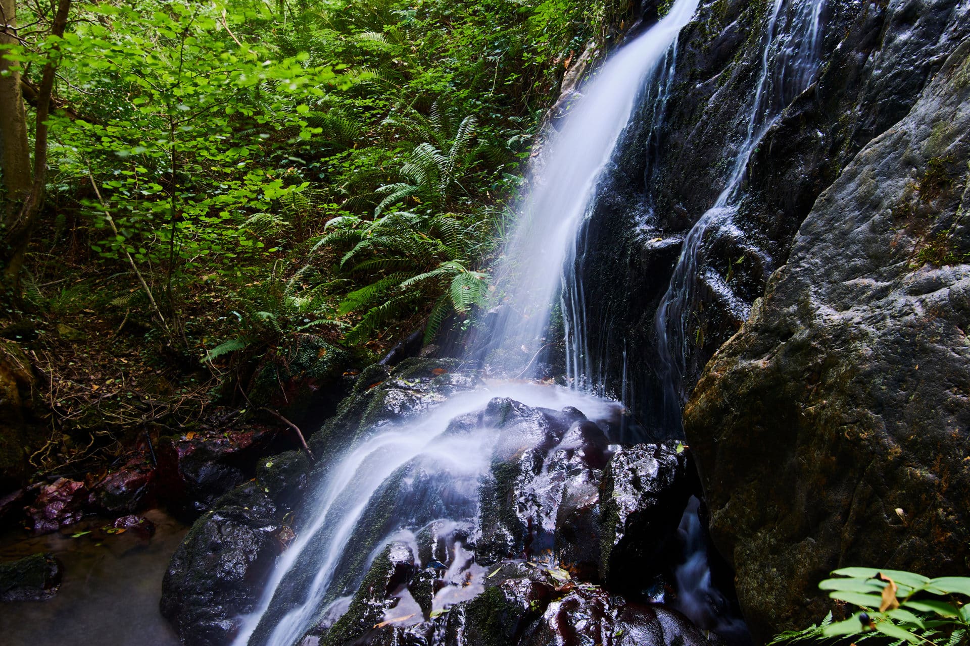 Ruta a las cascadas de Guanga: el tesoro escondido entre la naturaleza ...
