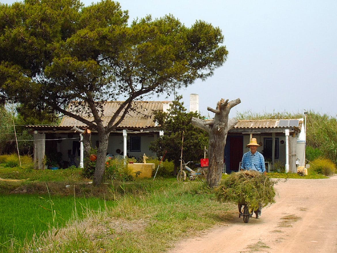 La isla de Buda, la isla más grande de Cataluña en peligro de extinción