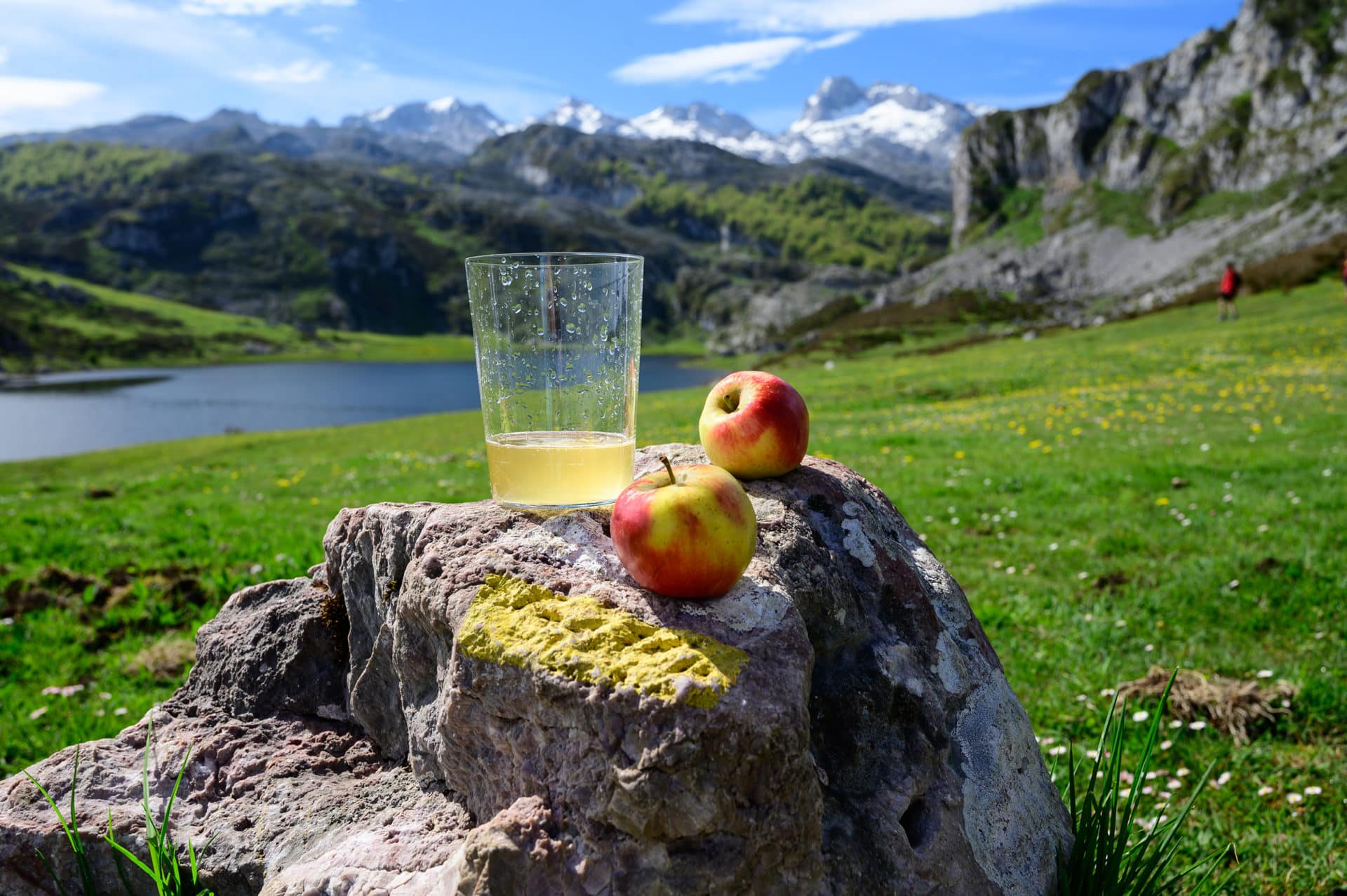 ¿Sidra asturiana o sidra vasca?