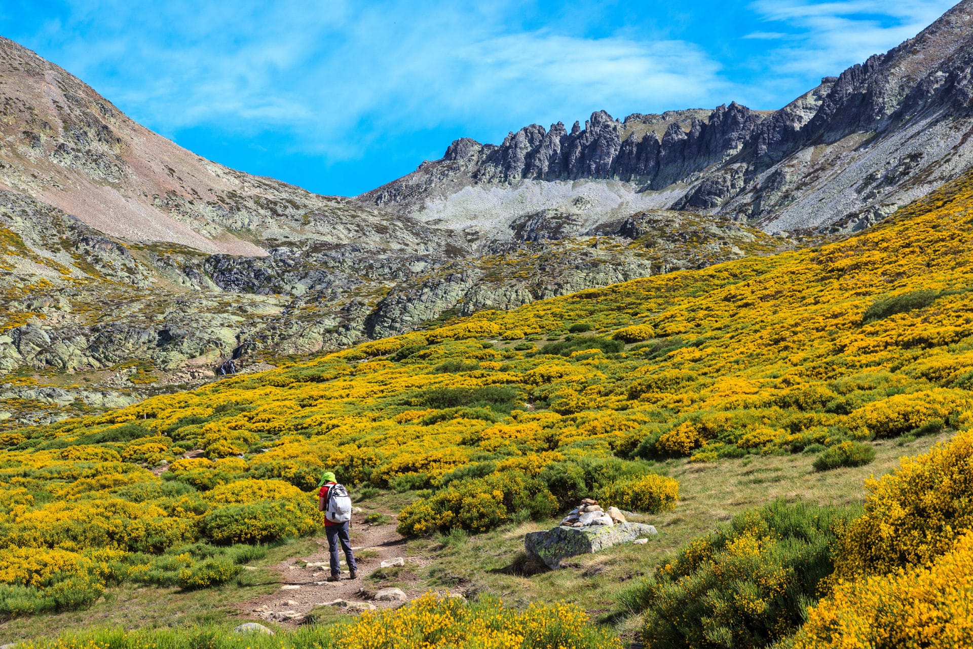 4 rutas por la Montaña Palentina: robles, tejos y lagos glaciares