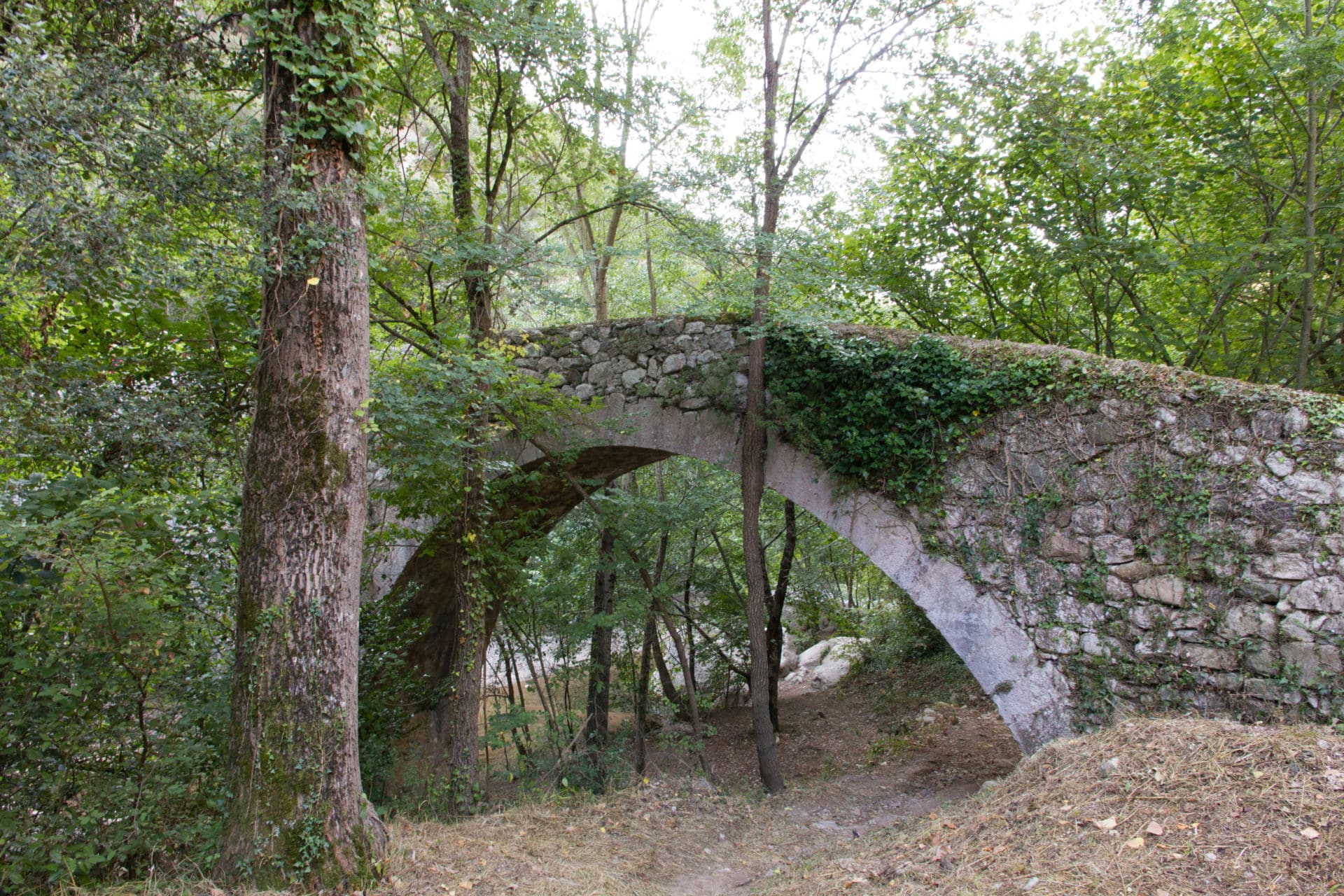 Cómo llegar al Gorg Blau de Sant Aniol d'Aguja (Girona)