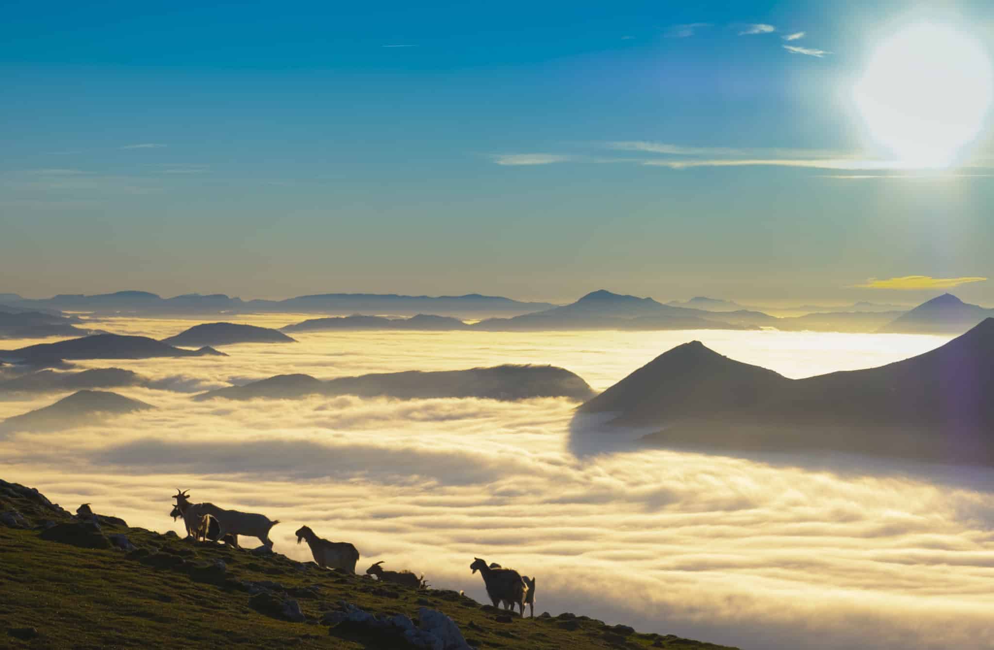 Rutas para descubrir la mágica Sierra de Aralar: cimas, paseos y leyendas